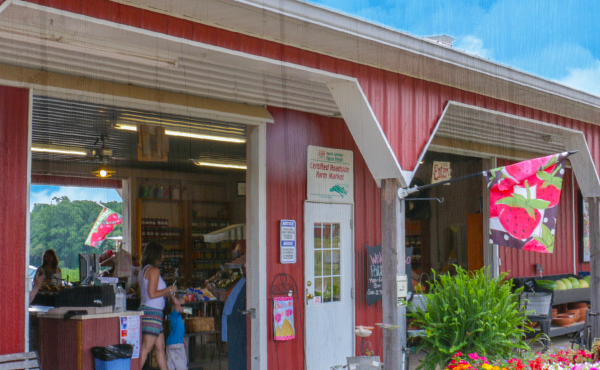 Patterson Farm Online Store | Patterson Farm Market & Tours